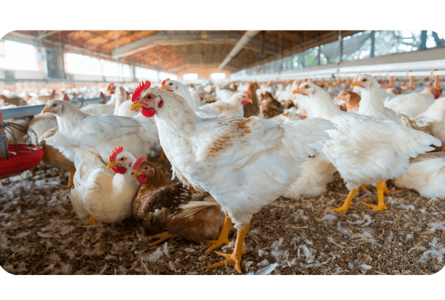 GS1 Traceability | Global Supply Chain Visibility